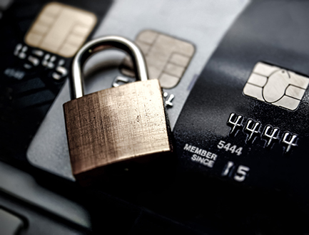 Securing the Future of Payments: PCI SSC Publishes PCI Data Security ...
